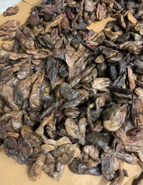 Castoreum – Bill Worb Furs Inc.