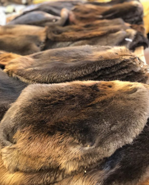Beaver Fur Pelts – Bill Worb Furs Inc.