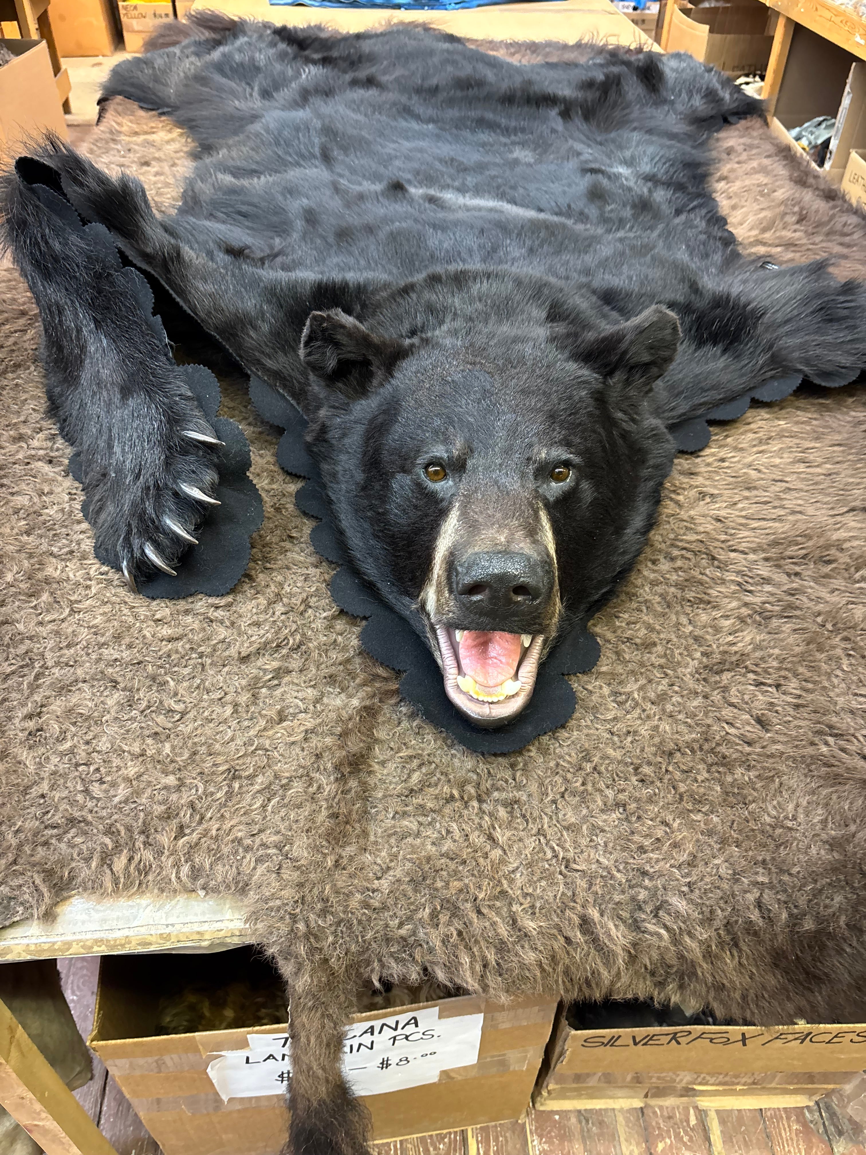 Black Bear Rug – Bill Worb Furs Inc.