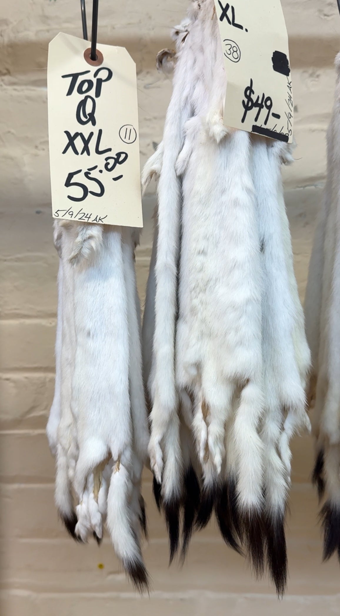 Weasel/Ermine Fur – Bill Worb Furs Inc.