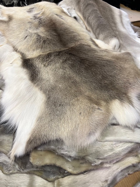 Reindeer-Caribou Fur Hides – Bill Worb Furs Inc.