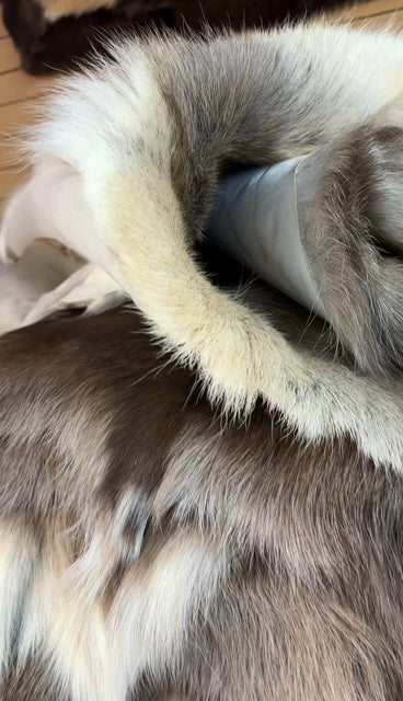 Reindeer-Caribou Fur Hides – Bill Worb Furs Inc.