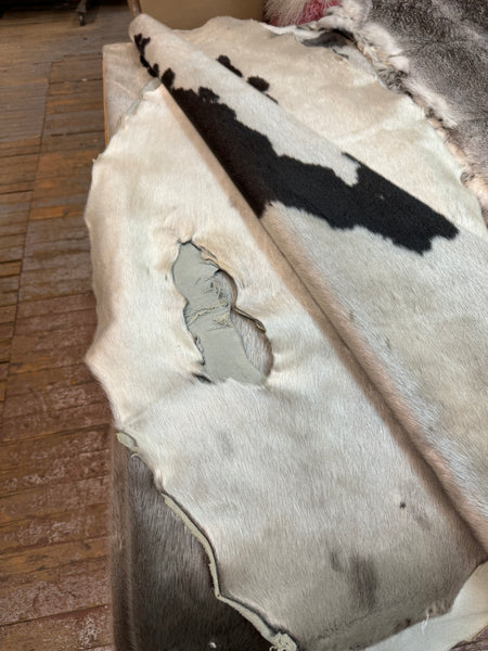 Natural Harp Seal Skins – Bill Worb Furs Inc.