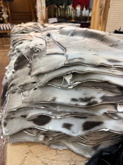 Natural Harp Seal Skins – Bill Worb Furs Inc.