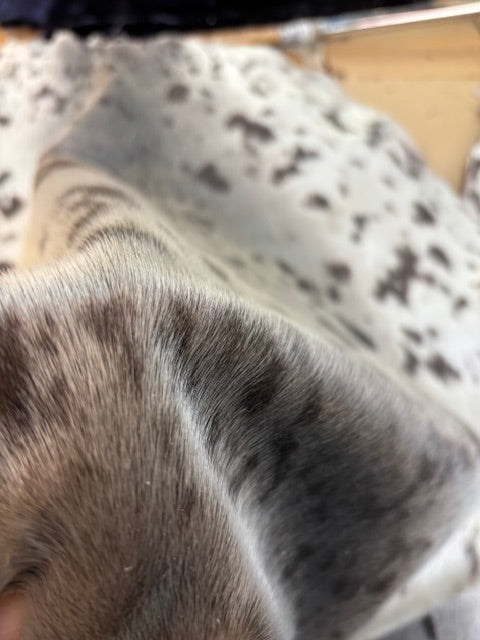 Natural Harp Seal Skins – Bill Worb Furs Inc.