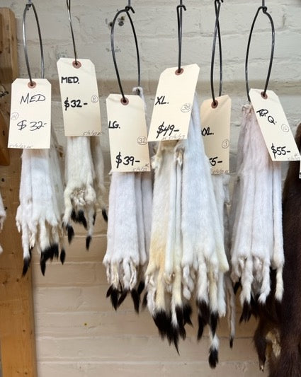Weasel/Ermine Fur – Bill Worb Furs Inc.