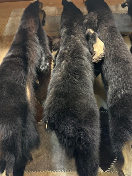 Black Bear Fur Pelts – Bill Worb Furs Inc.