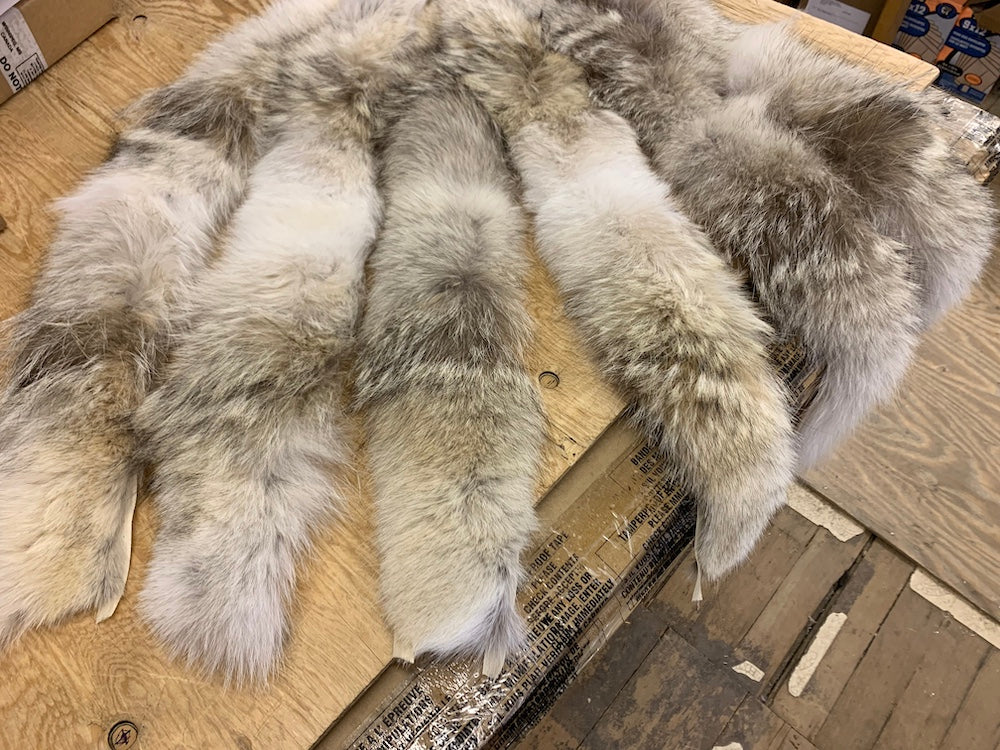 Coyote Parka Hood Ruffs – Bill Worb Furs Inc.