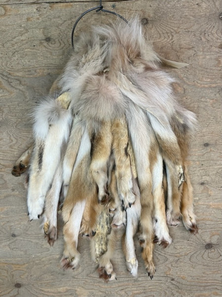 Coyote Legs – Bill Worb Furs Inc.