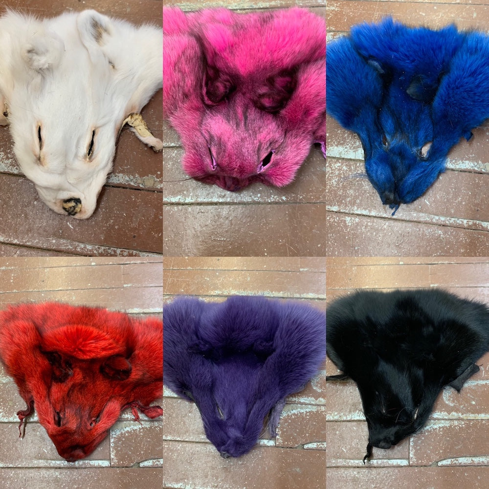 Dyed Blue Fox Faces – Bill Worb Furs Inc.