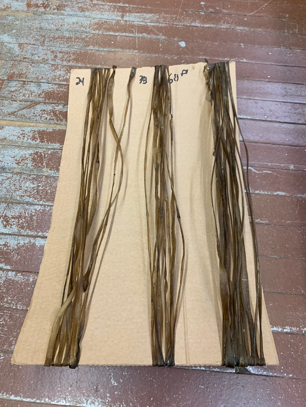 Raw Hide Lacing – Bill Worb Furs Inc.