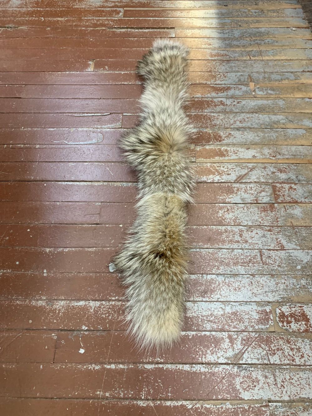 Timberwolf Fur Stripping – Bill Worb Furs Inc.