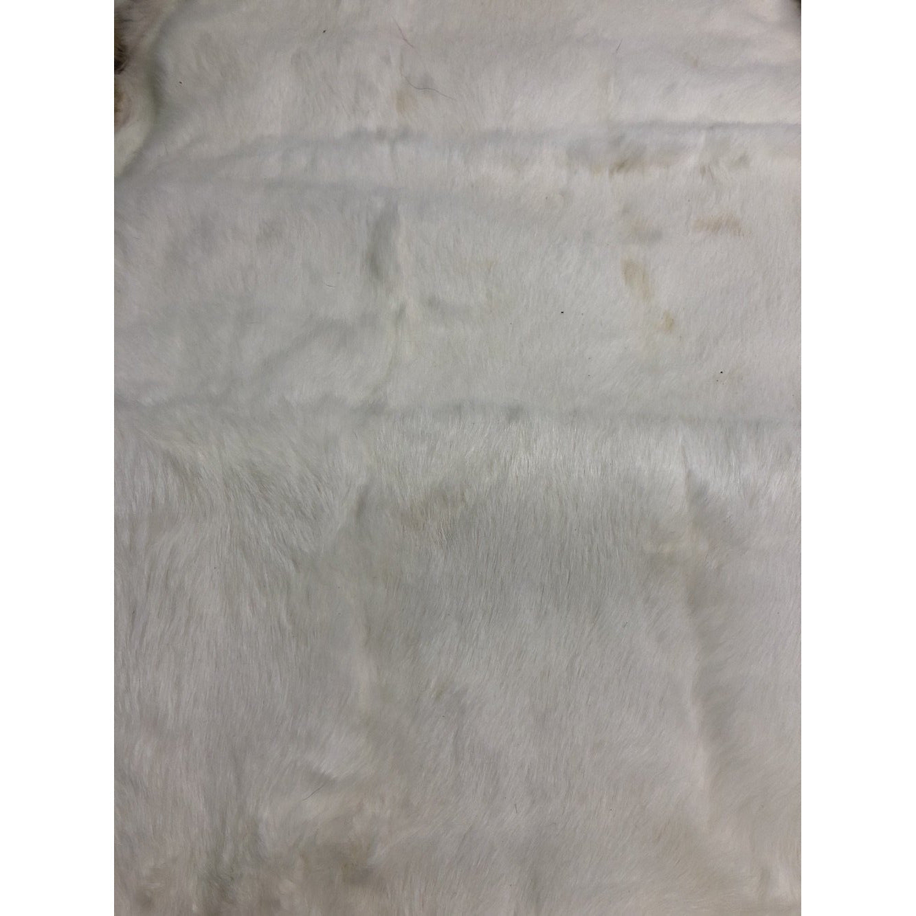 Rex Rabbit Fur Plates – Bill Worb Furs Inc.