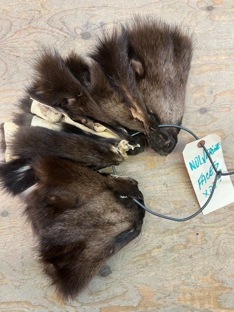 Wolverine Faces – Bill Worb Furs Inc.